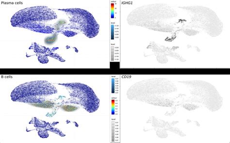 Visualization Of B Cell And Pc Signatures On The Umap Plot Of 64k Cells