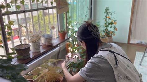 🧺여름을 맞으며 청소하고 요리하고•🌿바질페스토🍜김치국수•🪴식집사•요리브이로그•청소브이로그•1인쇼핑몰사장•홈가든•체리몰딩인테리어•집순이브이로그•집밥브이로그•방구석사장