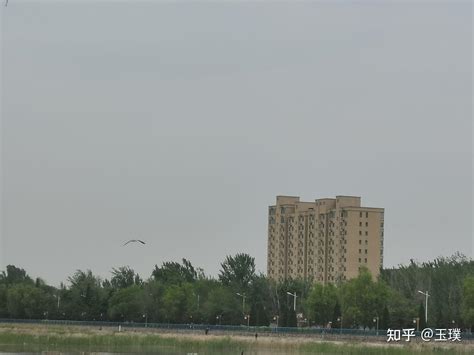 坚持与放弃 知乎