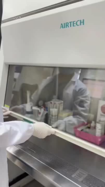 [video] hadeer adel on linkedin 🥰