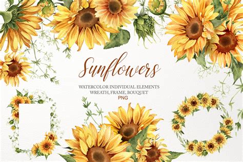 Sunflower Clipart Border