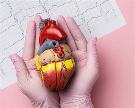 Procedures Dr Roderick Chua