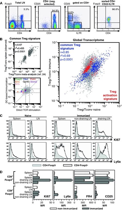 Gene Expression Profiling Of Treg After Dc Based Peptide Immunization Download Scientific