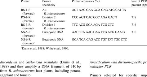 Primer Sequences And Sizes Of Amplified Dna Fragments Download Table