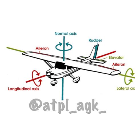 Longitudinal Axis