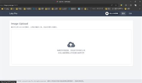 Nas使用npm反代登录地址无端口 · Issue 721 · Lsky Orglsky Pro · Github