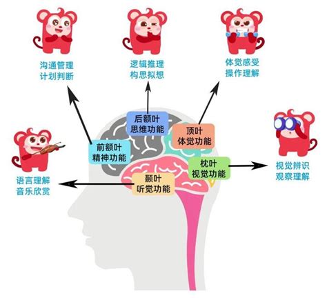 火花思维助力家庭教育，科普四大科学养育原则 知乎