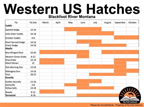 Hatch Charts Fly Fish Instruct