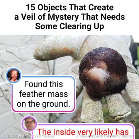15 Objects That Create A Veil Of Mystery That Needs Some Clearing Up