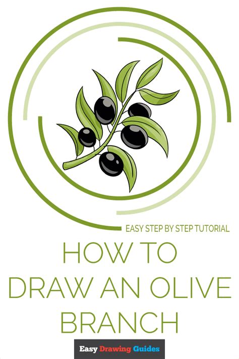 How To Draw An Olive Branch Really Easy Drawing Tutorial