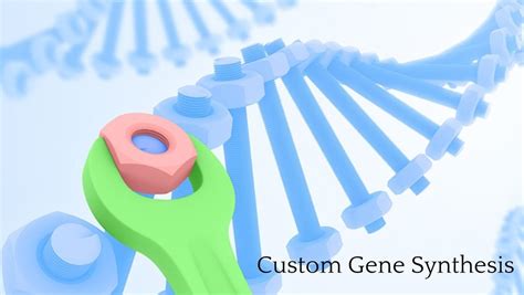 Gene Synthesis Technology Gene Synthesis Custom Genes