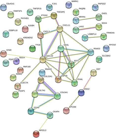 Ppi Network Analysis Of Common Degs Using String Database Download