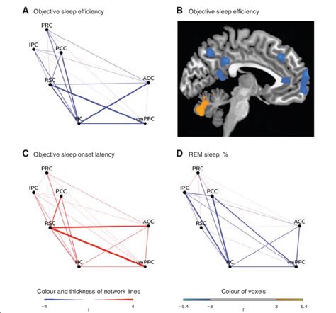 Waking Default Mode Network Functional Connectivity For The Regression Download Scientific