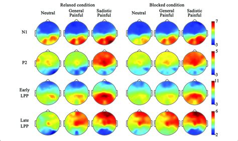Scalp Topographies For Neutral General Painful And Sadistic Painful Download Scientific