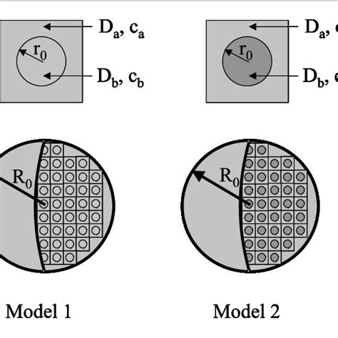 Heterogeneous Diffusion Model Model 1 And Distributed Microstructure