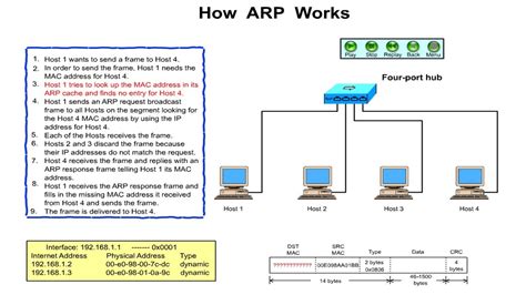 How To ARP Works YouTube