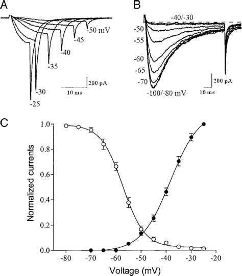 Voltage Dependence Of Activation And Steady State Inactivation Of Download Scientific Diagram