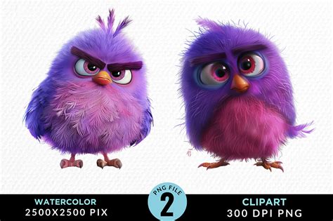 Grumpy Bird Illustration Clipart Design Graphic By Regulrcrative