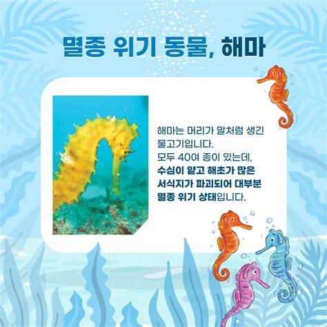 다산어린이 오늘날 전 세계 해양 생태계의 60가 지구온난화와 자연재해 인간의 파괴적인 행태