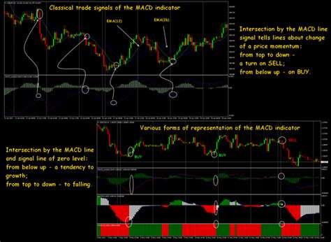 Macd Zero Line Crossover Ea Forex Finviz Strategy