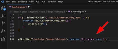 Deleting Webp Or Avif Files Created By Shortpixel Shortpixel