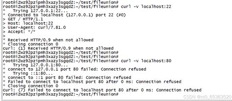 Linux 使用 Curl 命令简单测试网络curl测试网络连接 Csdn博客