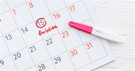 Can You Get Pregnant When You Re Not Ovulating Today S Parent