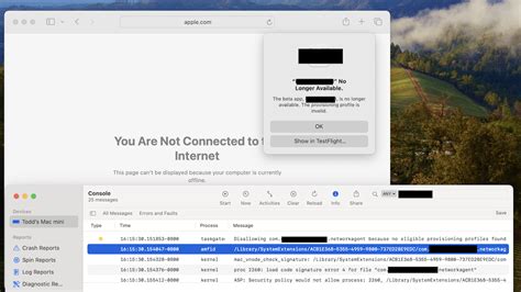 network system extension mac… apple developer forums