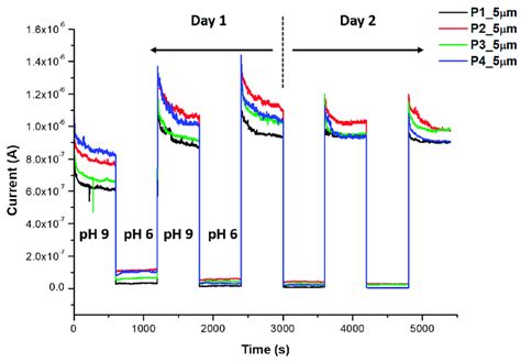 Figure A5 Real Time Measured Drain Current Of P Cntfets Sweeping
