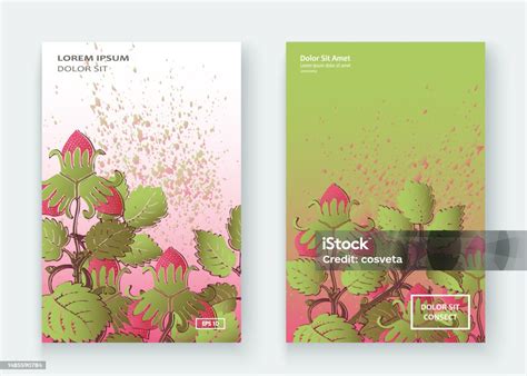 딸기 패턴 디자인 템플릿 제품 손으로 그린 레드 베리 귀여운 트렌디한 배경 꽃 녹지 덤불 그래픽 일러스트레이션 웨딩 초대장 포스터 카드 표지 제품 벡터 0명에 대한 스톡