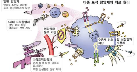 똑똑한 항암제 암세포 뿌리뽑는다 표적 동시공격 혈관생성까지 차단