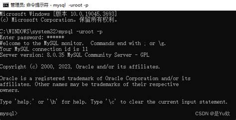 【从0配置java项目相关环境1】jdk Vscode运行java Mysql Navicat 数据库本地化 启动java