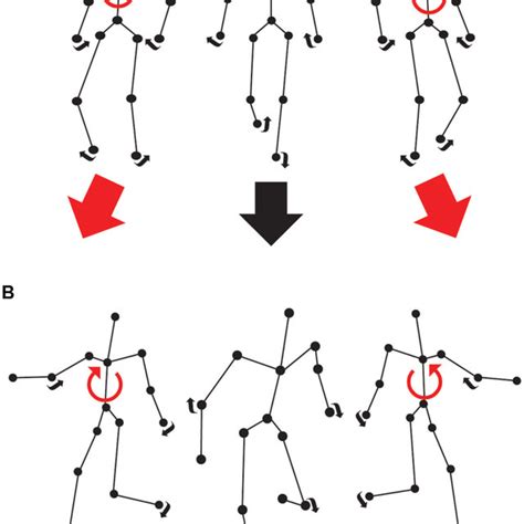 Front Facing Biological Motion Perception Bmp Tasks The Connecting Download Scientific