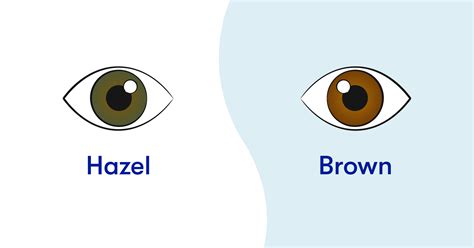 Hazel Eye Color 1 800 Contacts