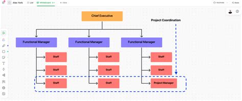 Pmo Organizational Structure Examples Hot Sex Picture