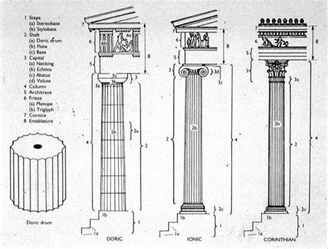 😍 Doric And Ionic What Is An Ionic Column Everything You Need To Know