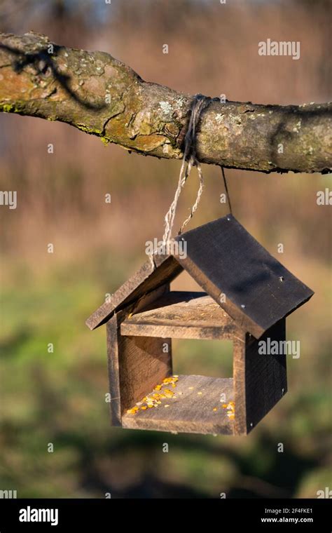 Wooden Bird Feeder Hanging On A Tree Branch Stock Photo Alamy