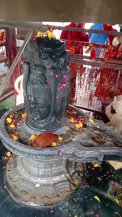 भगवान शिव के मंदिर में जाकर जलधारी पर जरूर जल चढ़ाएं Youtube