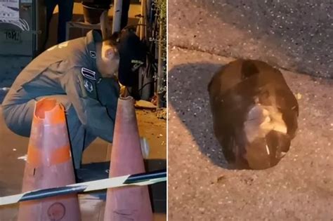 Pensioner In Seedy Sex Tourism Hotspot Says You Get More Sex For Less