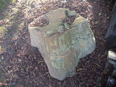 Fossils That I Found On Various Surface Mines I Have Worked Fossilid