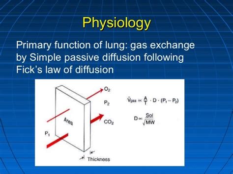Laxman Lung Diffusion Capacity