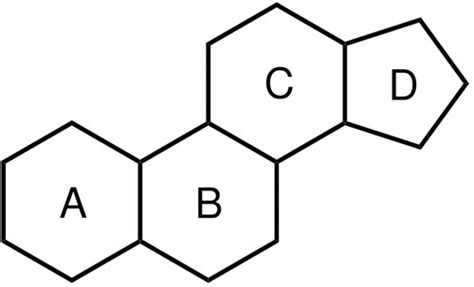 Lipids Flashcards Quizlet