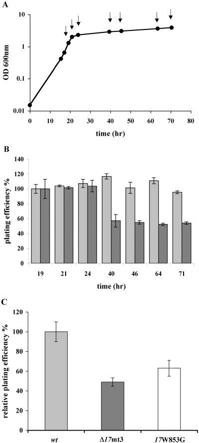 Plating Efficiency Of Wt And Mutant Phages Using Cells From Different