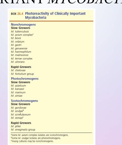 Microbiology Exam 3 Flashcards Quizlet