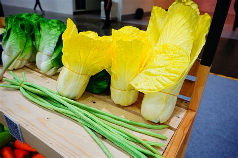 신선한 유기농 야채 그리고 과일 농부 시장 슈퍼마켓 선반에 건강 식품 개념입니다 비타민 그리고 무기물입니다 토마토 고추 오이 버섯 호박 건강한 식생활에 대한 스톡 사진 및