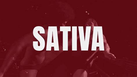 Sexbattle Ring Bout The Serial Ballbuster Sativa The Dirty