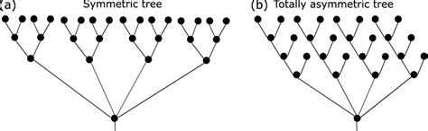 Illustration Of “symmetric” And “totally Asymmetric” Trees With Four Download Scientific
