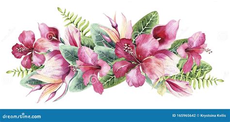 Met De Hand Getekende Bloemkool Met Tropische Planten En Bloemen Stock