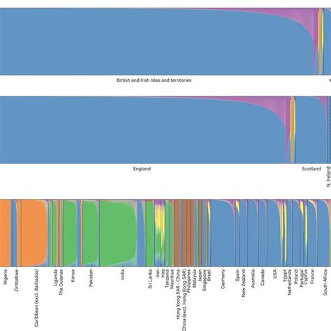 Neural Admixture Model Architecture A Single Head Architecture The