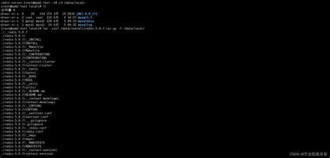 Linux安装redis教程【带图文命令巨详细】linux Redis安装 Csdn博客 Linux安装redis教程【带图文命令巨详细】linux Redis安装 Csdn博客